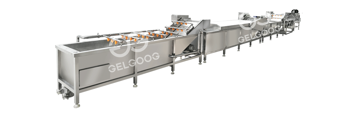 Dates Cleaning Washing Drying Grading Production Line With Dates ...