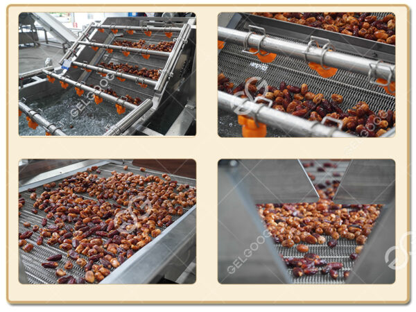 Commercial Date Washing Machine Dates Cleaning Machine