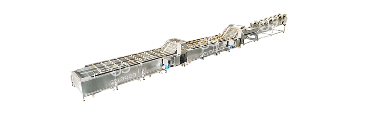 Industrial Date Palm Washing And Drying Pitting Production Line
