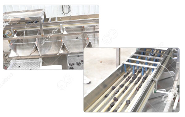 Date Processing Project In Saudi Arabia