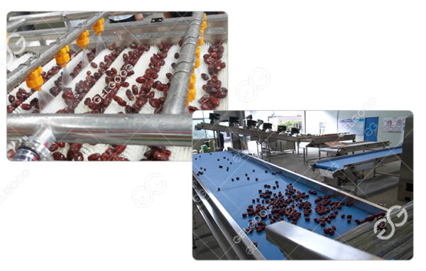 Date Processing Project In Saudi Arabia