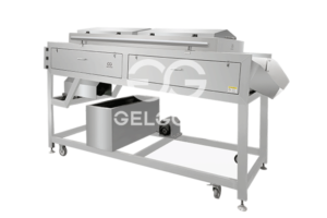 Dates Cleaning Washing Drying Grading Production Line With Dates ...